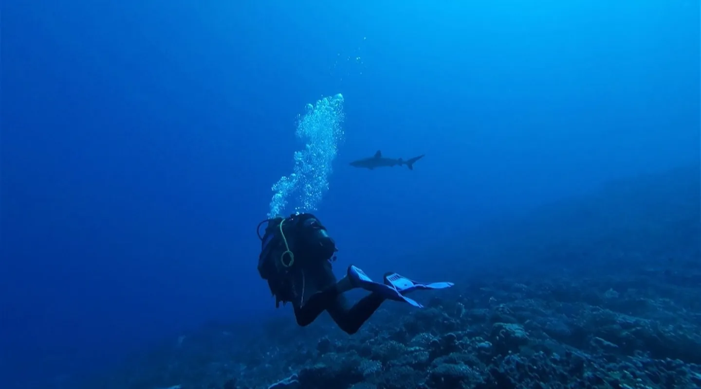 Fakarava diving - Triptahiti